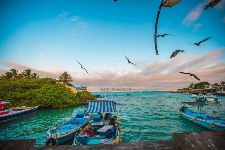 Turismo en las Islas Galápagos | Región insular del Ecuador