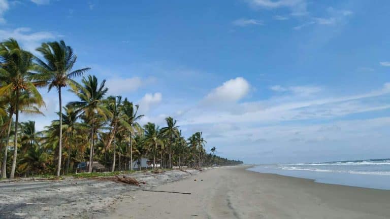 Isla Salango, Manabí | Tours, buceo, snorkeling